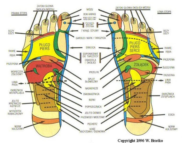 Gabinet Terapii Naturalnych "Radość Życia" Zosia Golis Bolesławiec ...