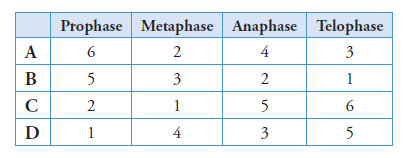 #32 Summary of Cell and Nuclear division | Biology Notes for A level