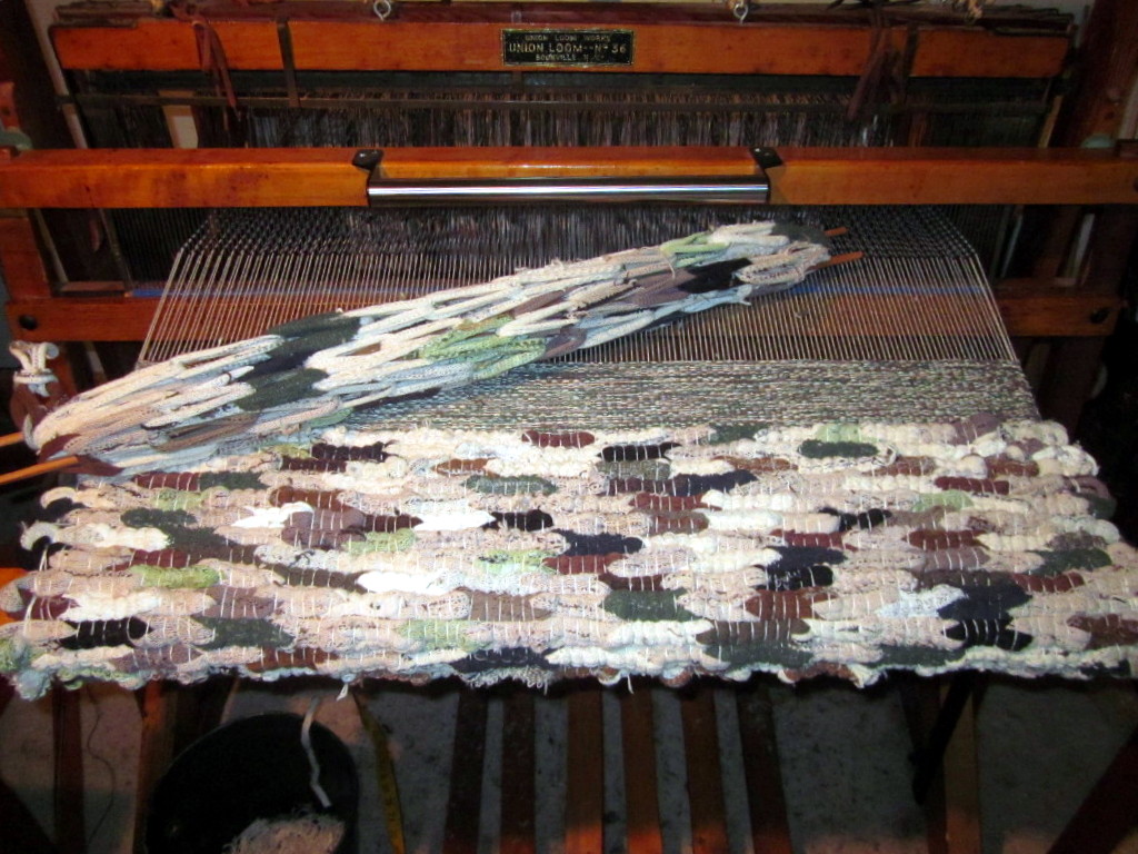 What A View!!! : The Birth of a Birch Tree Rug