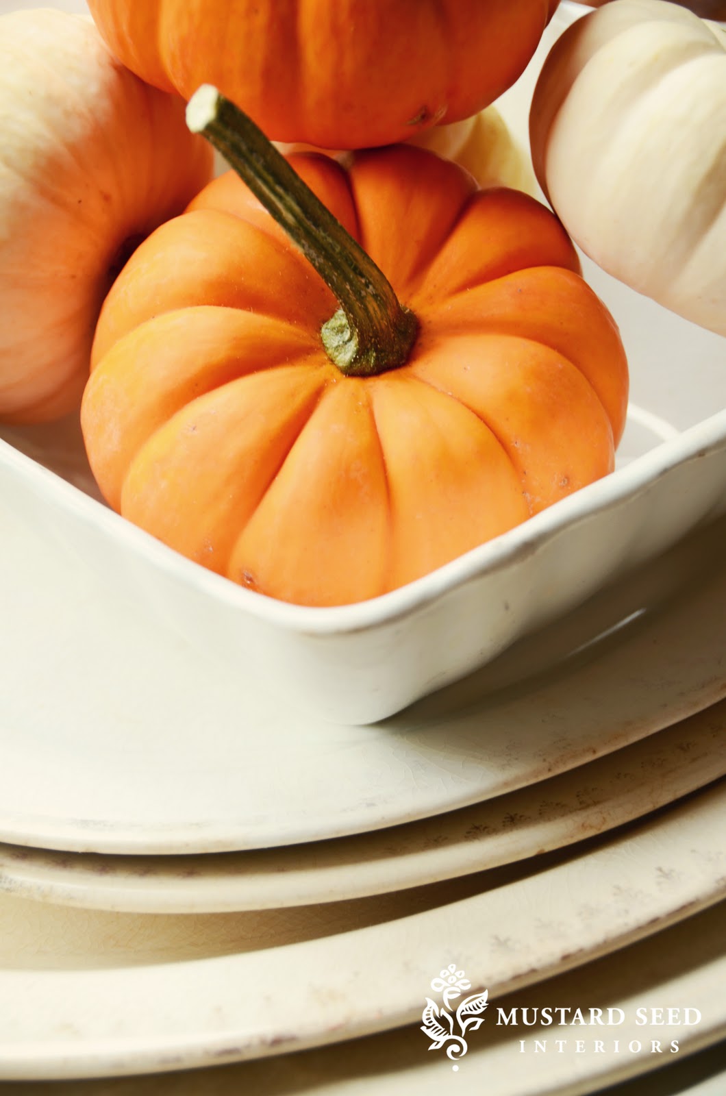 pumpkins - Miss Mustard Seed