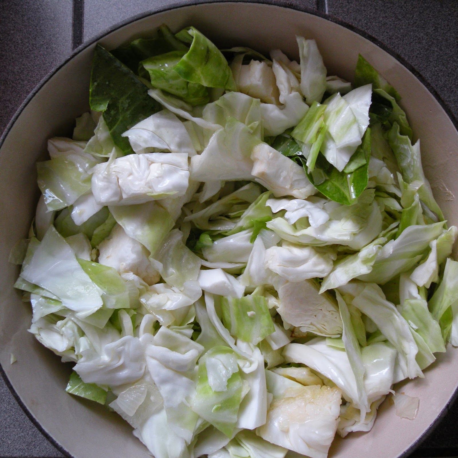 Warrior Beetle: Happy Cabbage Day