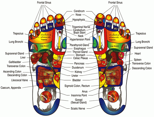 Rajah Refleksologi Tapak Kaki - Kesihatan Kekayaan Kebebasan Kejayaan