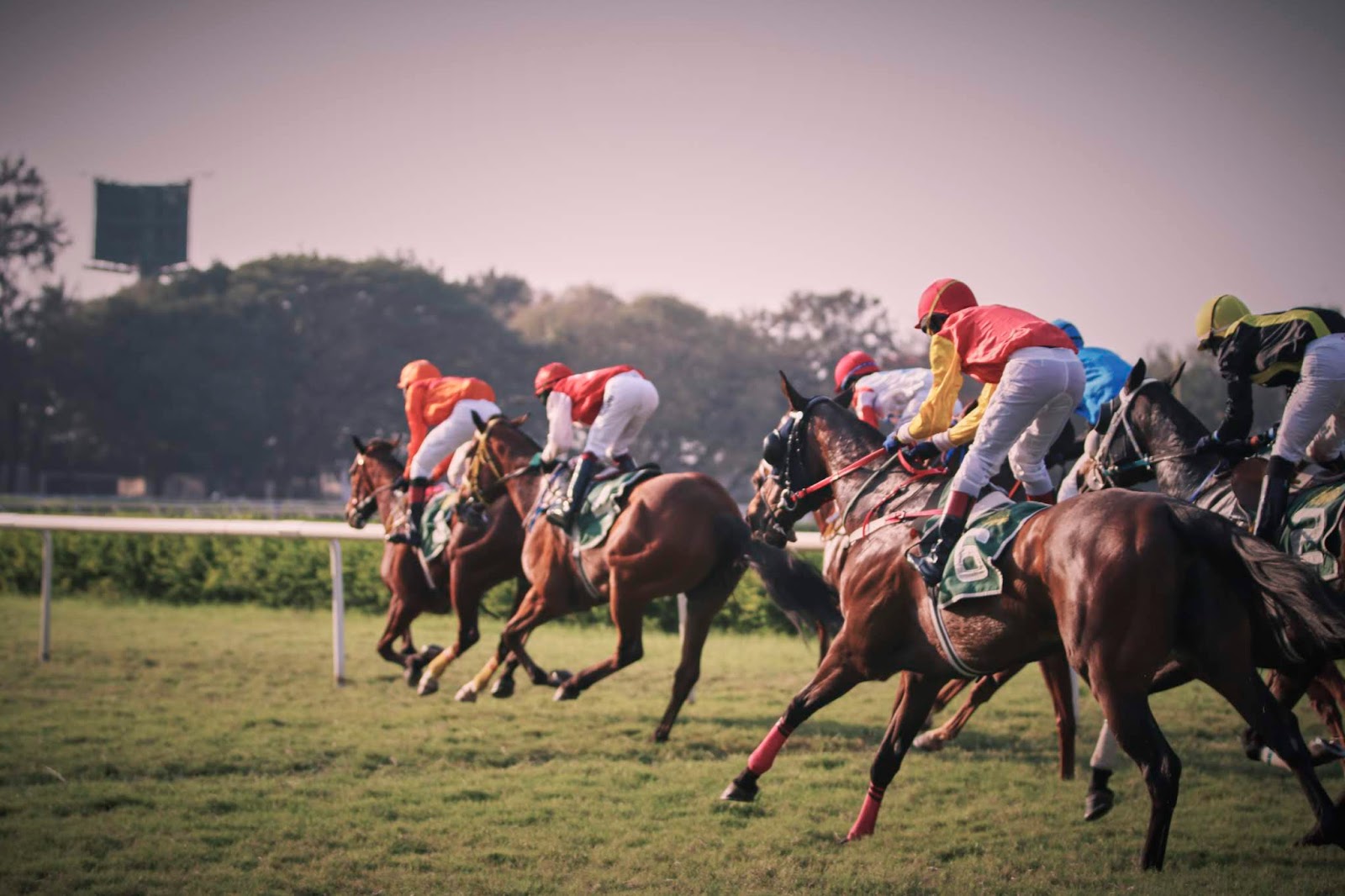 SPIRIT OF MUMBAI: The Kingfisher Ultra Indian Derby 2019 on Sunday ...