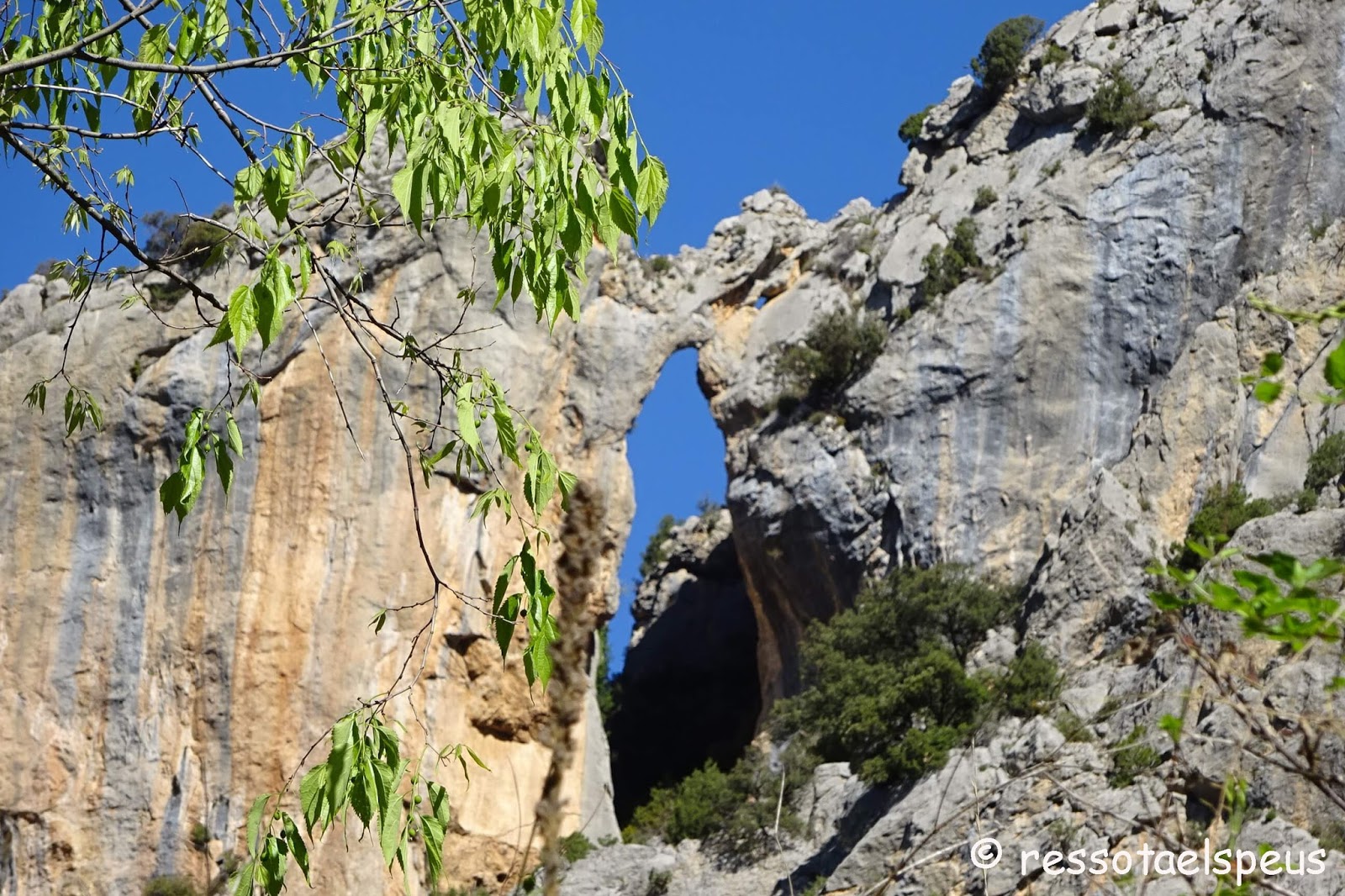 res sota els peus: Ruta circular al roc de Galliner, a la muntanya d'Alinyà