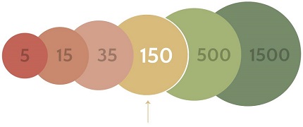 Blue chip: Una explicación neurocientífica del número de Dunbar