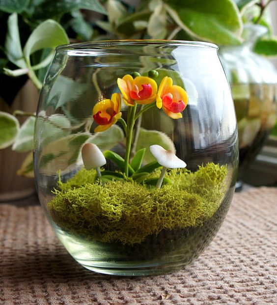 20 TERRARIUM DESIGN IDEAS FOR YOUR HOME