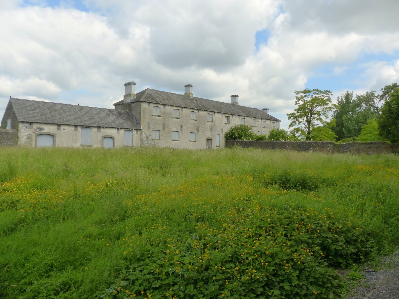 Birding For Pleasure: The Irish Workhouse, Portumna, Co Galway (Part 2)