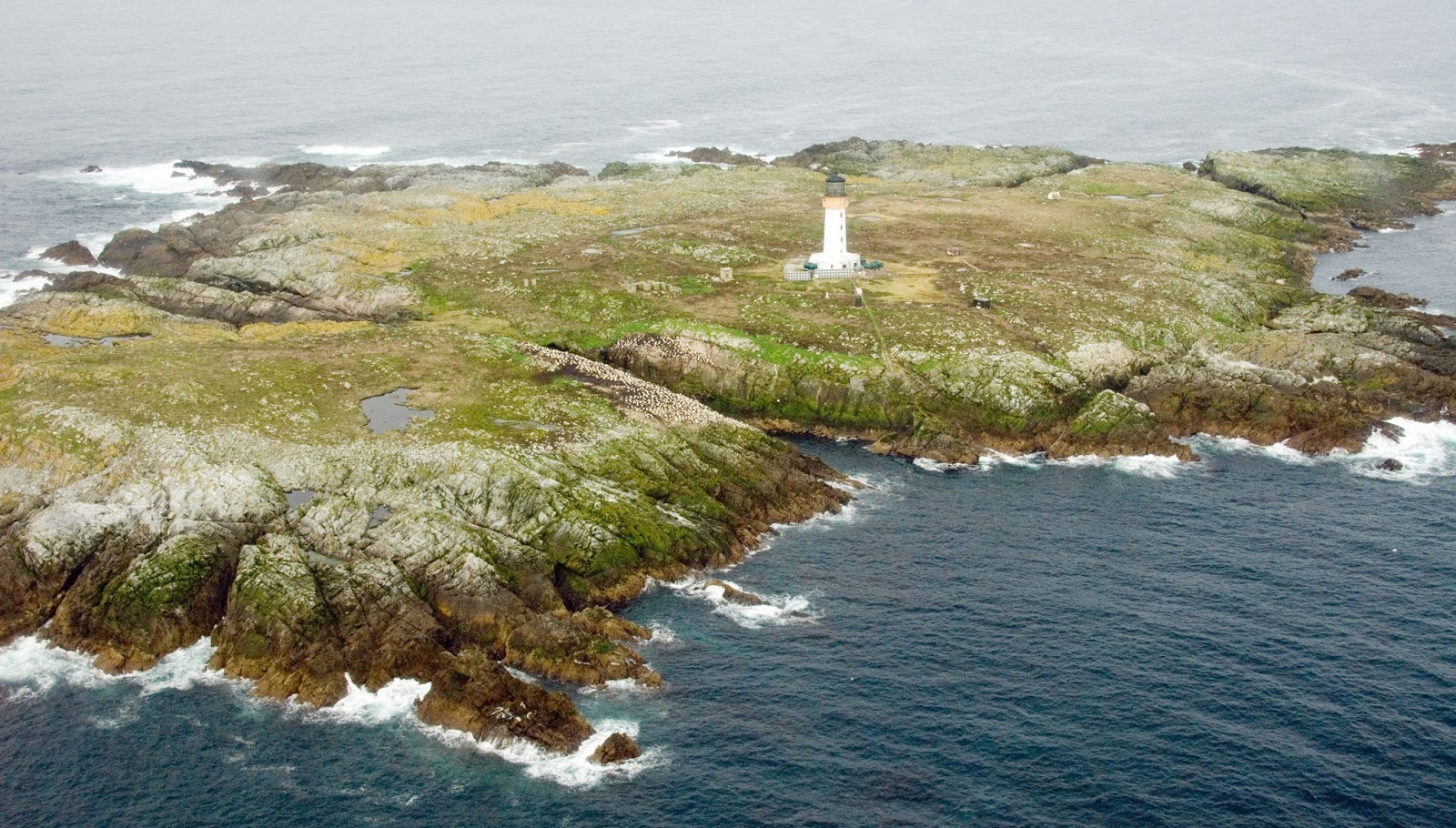 Scottish Islands Explorer: Sule Skerry's Numbers