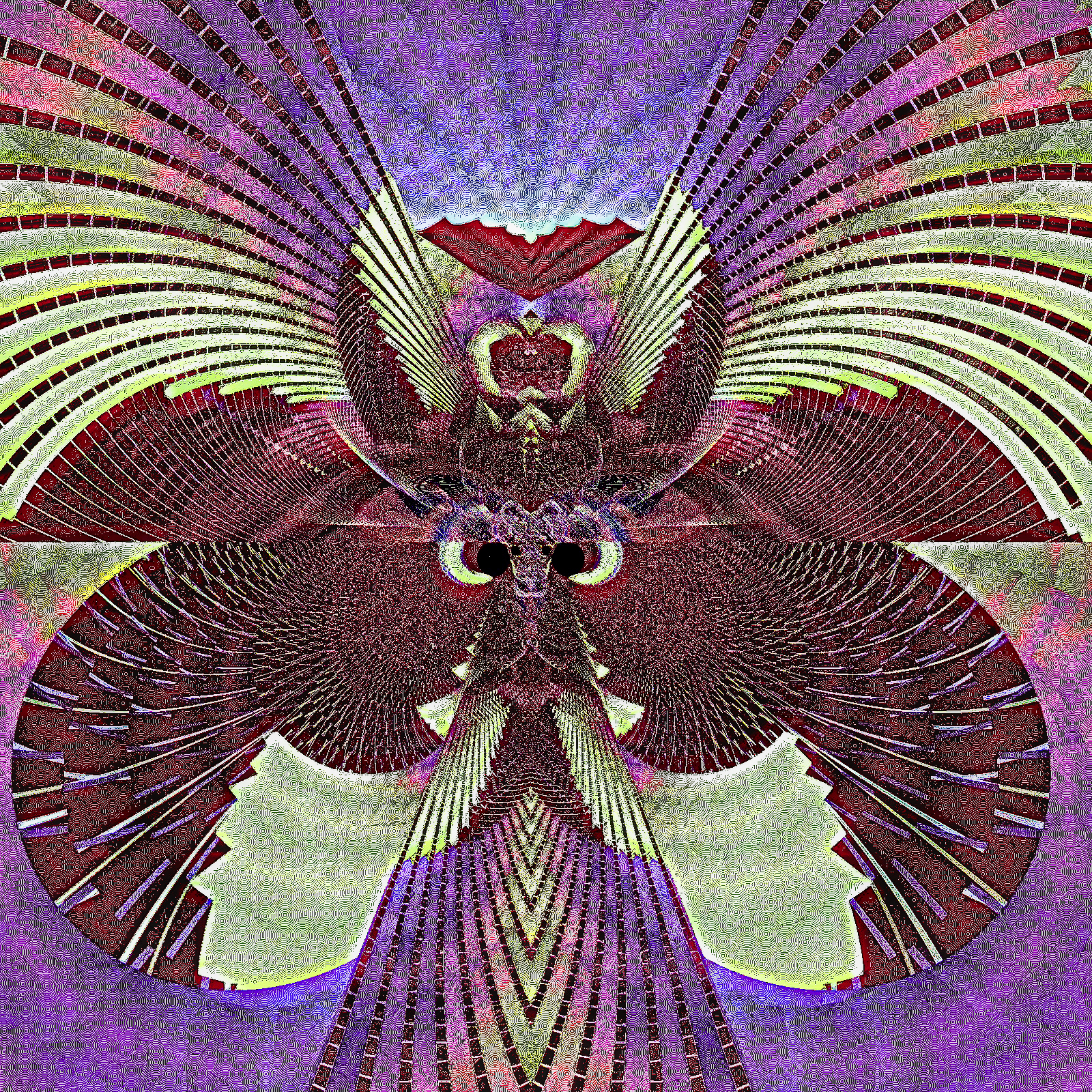 Arq. Myriam Mahiques´art: Pájaro en aparente simetría. Bird in apparent ...