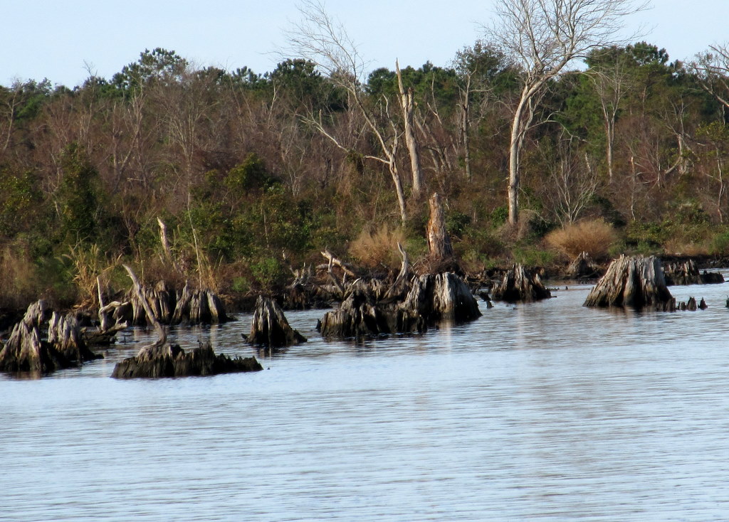 Pungo River Canal - svIslandSpirit.com