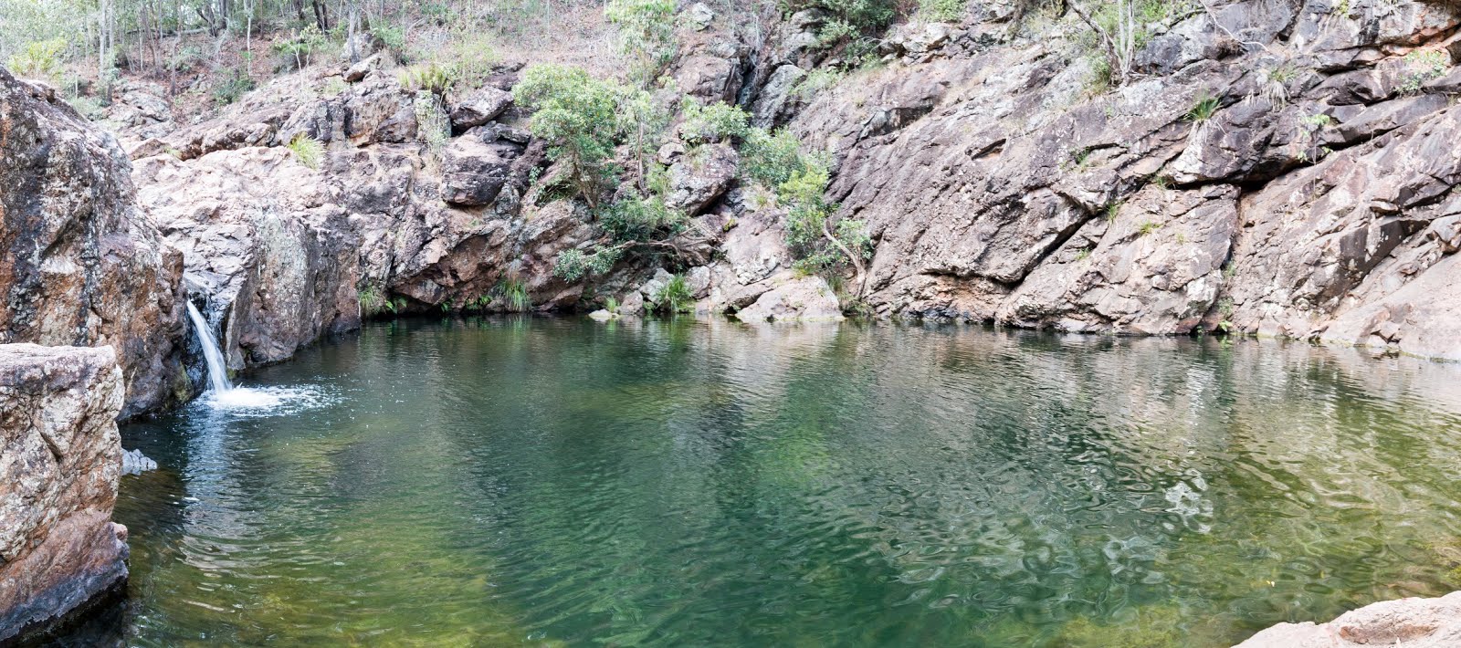 National Park Odyssey: Mount Mee Forest Trail Drive, D'Aguilar National ...