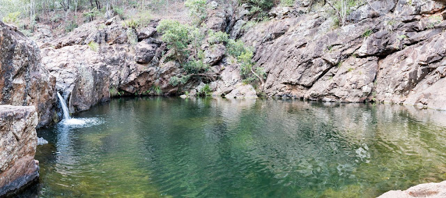 National Park Odyssey: Mount Mee Forest Trail Drive, D'Aguilar National ...