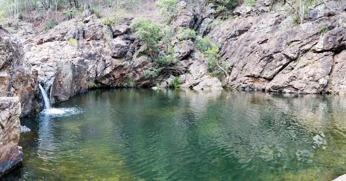 National Park Odyssey: Mount Mee Forest Trail Drive, D'Aguilar National ...