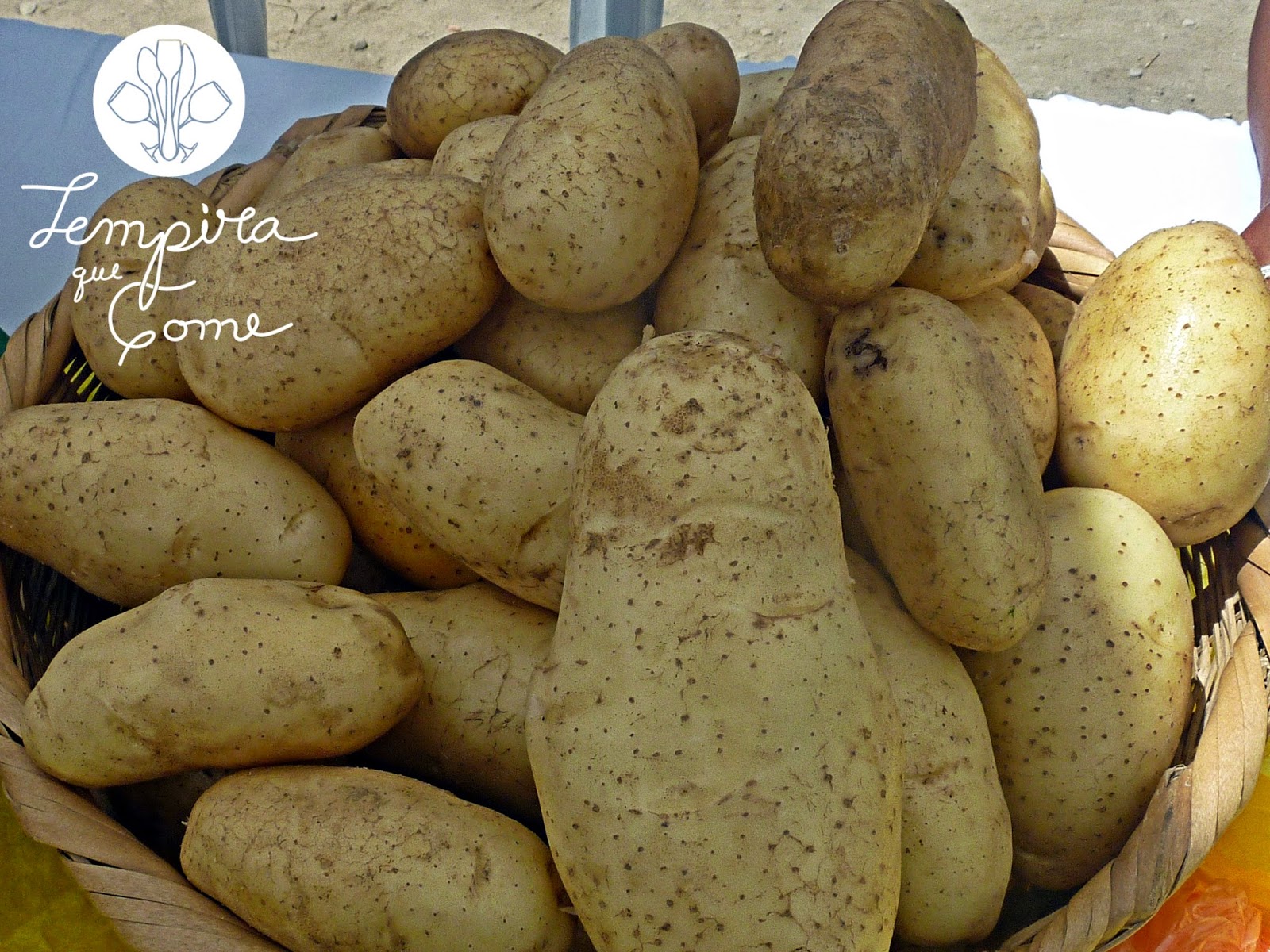 Lempira que Come: Festival de la Papa, Intibucá 2014