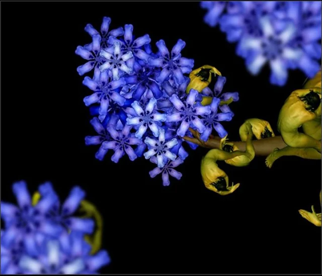 Cecelia Webber ~ Human Flowers | Tutt'Art@ | Pittura * Scultura ...