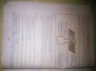 10TH Science Practical Answers Pdf 10TH CLASS JOURNAL ANSWERS PDF ...