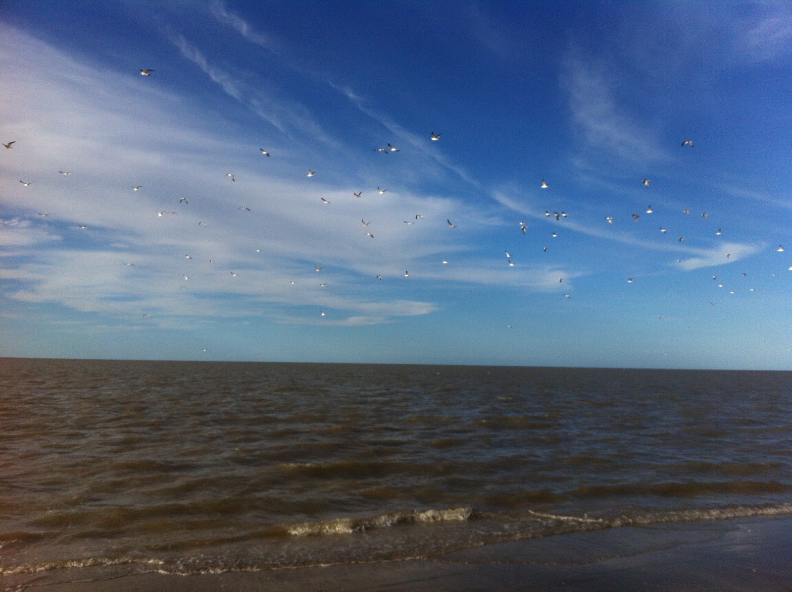 Viene Mashíaj: La era mesiánica. Una idea extendida a lo largo del judaísmo