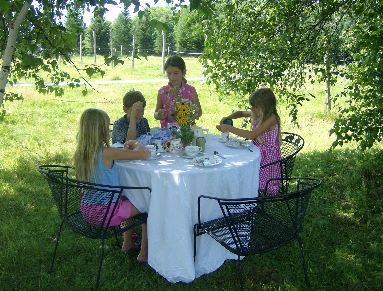 The Romantic Mom.com: A Tea Under a Tree