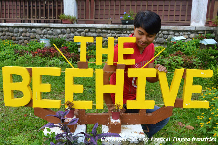 Frenz Fries: The Beehive Farm and Kitchen, Lipa