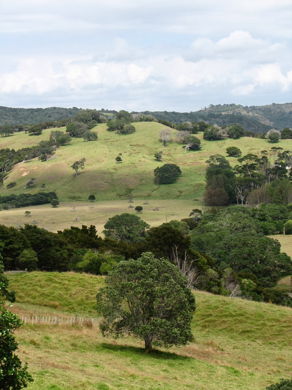 My 2014 Adventure: Travels to Singapore, Australia & New Zealand ...