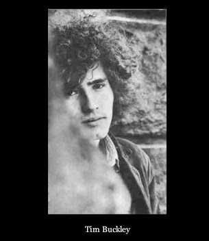 The Vinyl Consultancy: TIM BUCKLEY AT THE BEEB