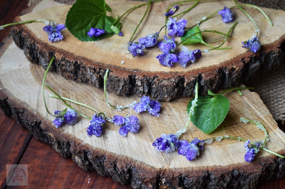 Cum glasam toporasii? - CAIETUL CU RETETE