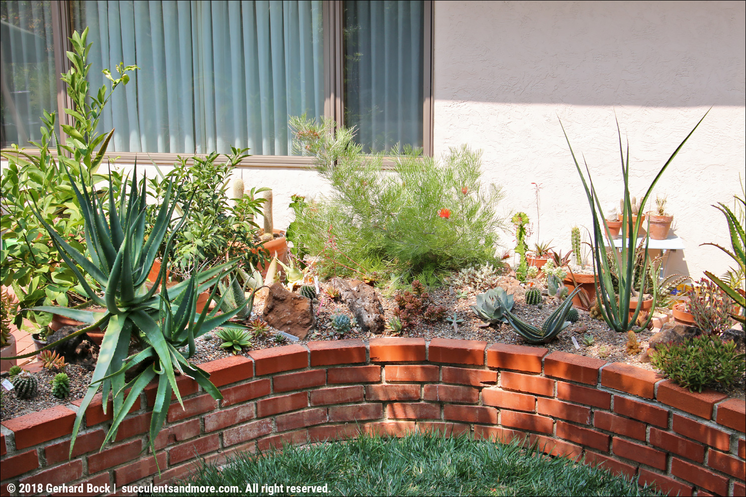 Around the world on 6,000 sq.ft.: Brian's miniature botanical garden