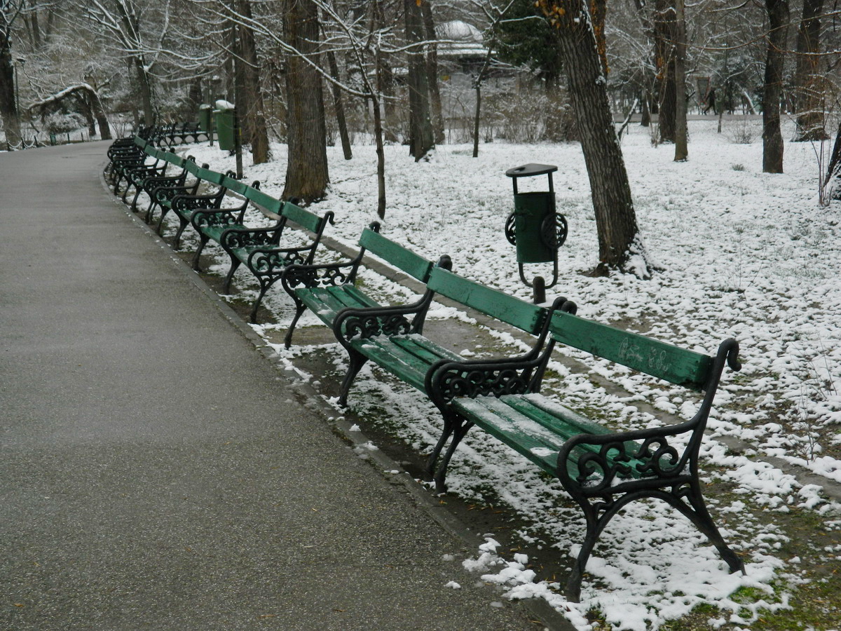LA MULTI ANI, ROMANIA!: Banci in Parcul Cismigiu