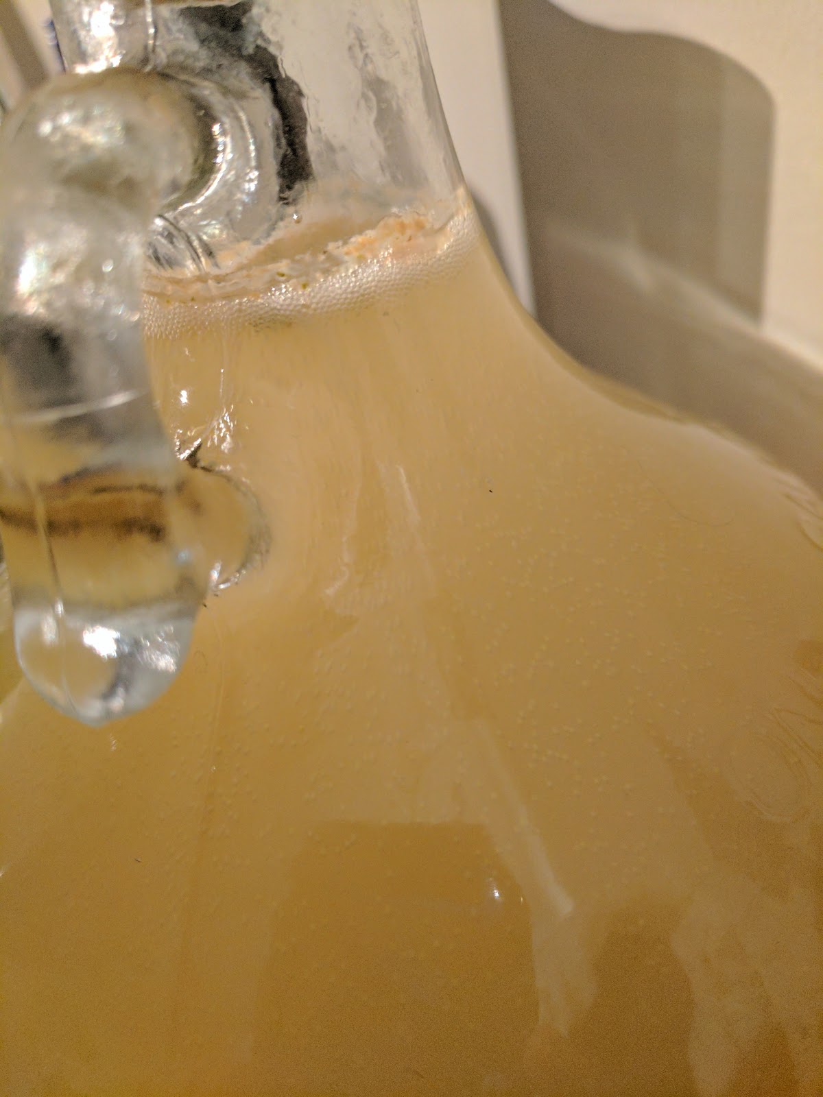 Mead with Mint and Grapefruit AKA Slightly Citrusy Metheglin