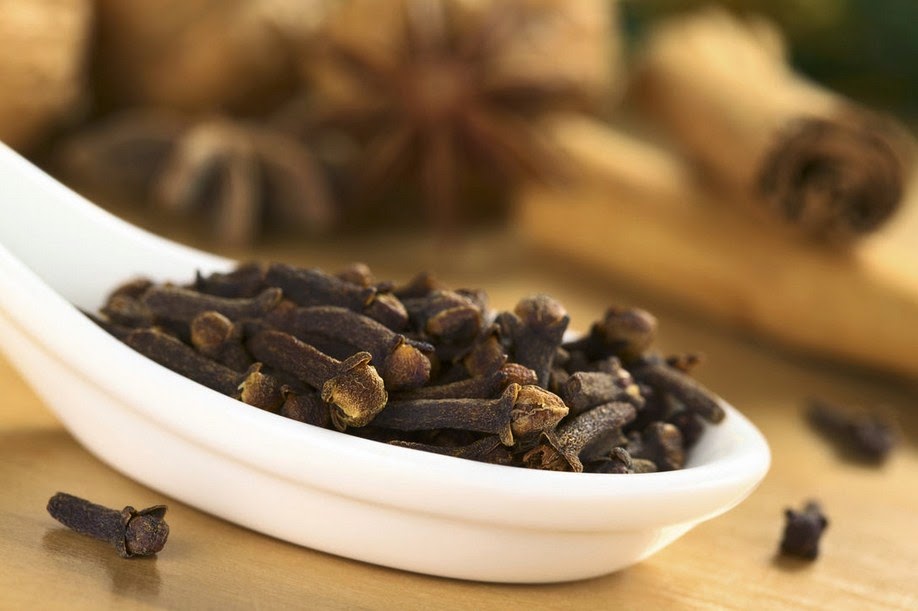 approvecourseowl: Effective home remedies for bed bugs-ending