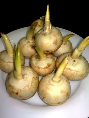 MENYUSUN SEJARAH MASA DEPAN..: TIPS: CARA MENGGORENG KEREPEK NGAKU