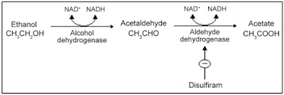 ER goldbook: Disulfiram-like reaction
