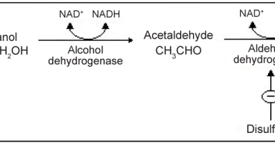ER goldbook: Disulfiram-like reaction