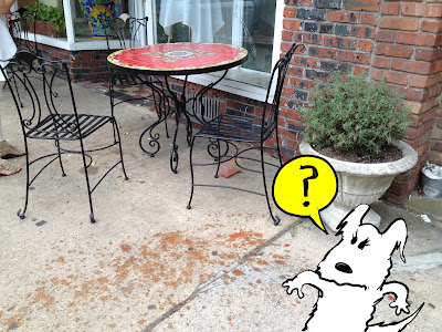 Lili's Scoop: Flying Meatballs! A La Parmigiana Italian style ...