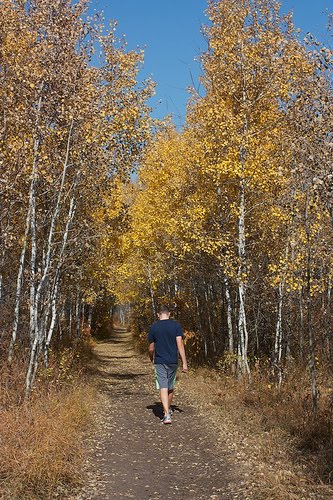 873 Math Blog (2012): Gerard's Proportion Post