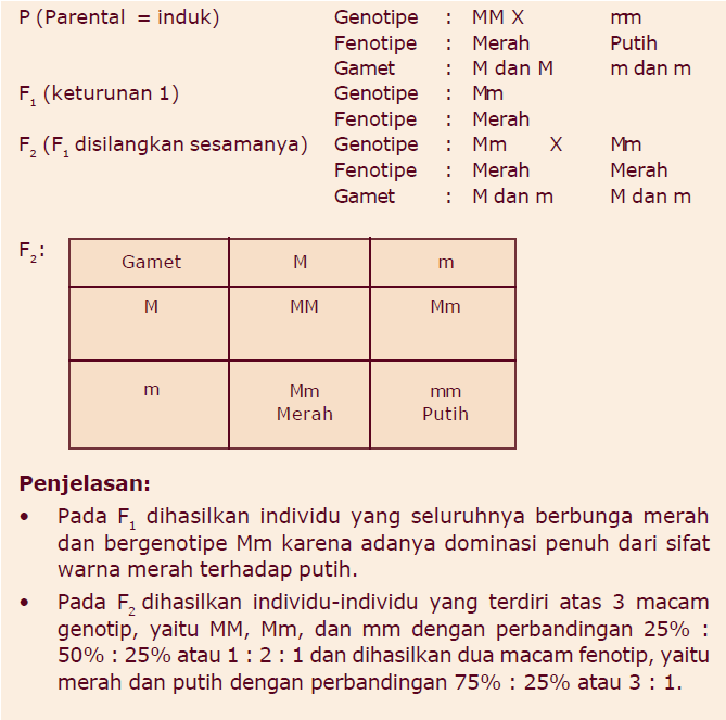 Pewarisan Sifat - Science Education