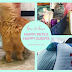 How to Create a Happy Place at Home for Pets & Guests to Co-Exist - A ...