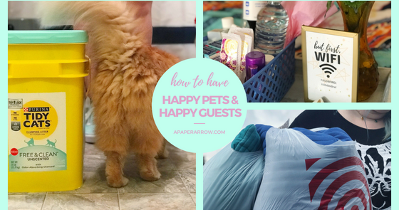 How to Create a Happy Place at Home for Pets & Guests to Co-Exist - A ...