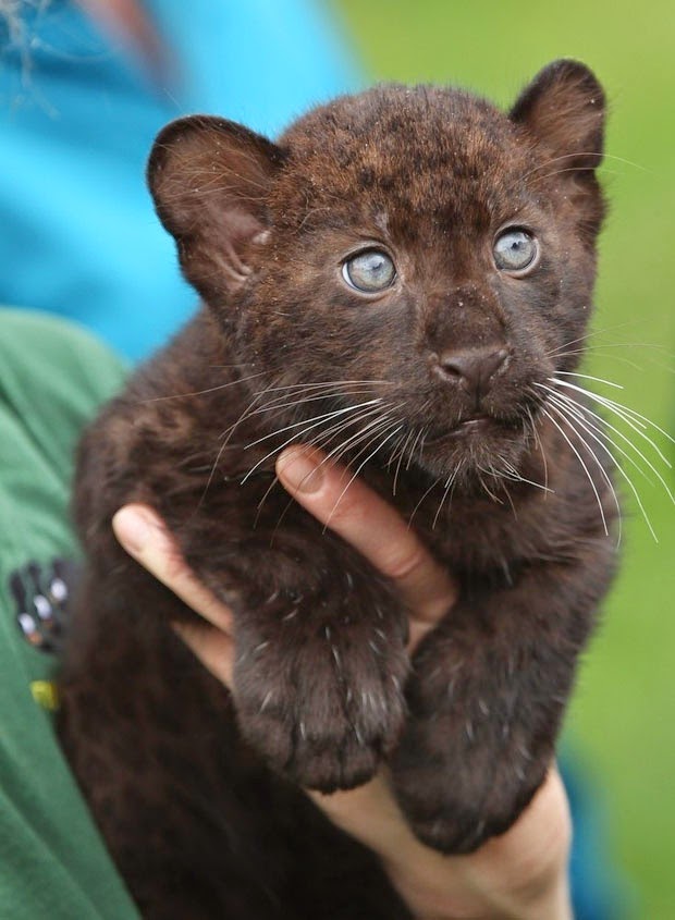 Random list of stuff from around the world...: An Ultimate Collection ...