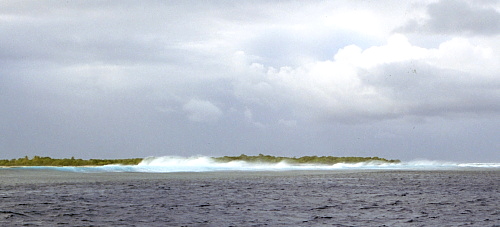 JFC's Birding: POLYNESIAN & PITCAIRN ISLAND TRIP REPORT 4TH JUNE 2006 ...