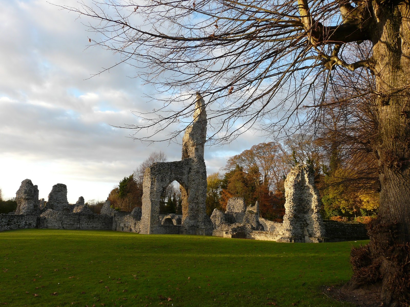 Cindy's Snaps: Thetford Priory, Nunnery Lakes Nature Reserve and ...