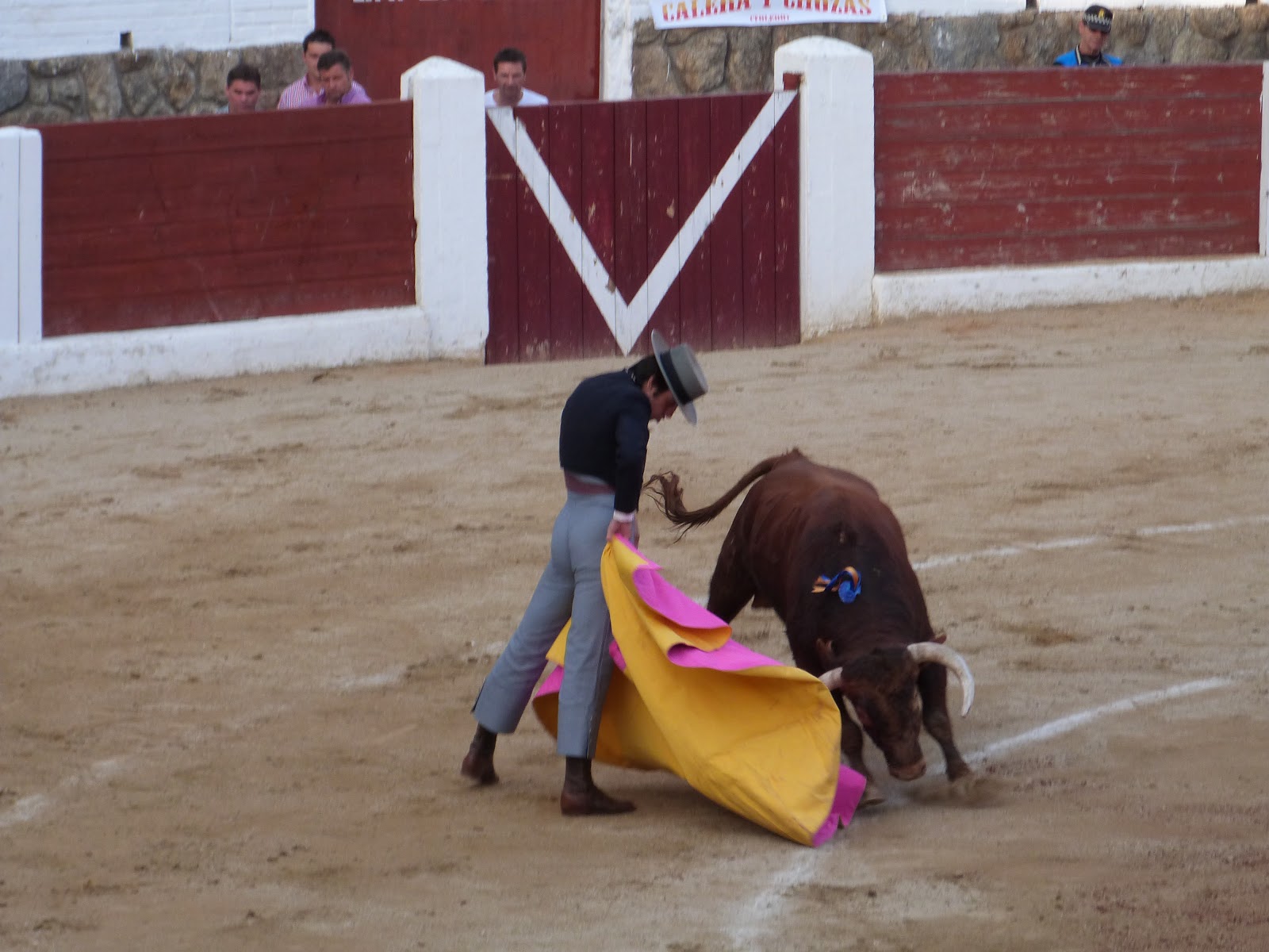 Todos a los Toros: El toreo en estado puro