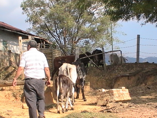 Arte, cultura y turismo: PAISAJES MUNICIPIO BARAYA