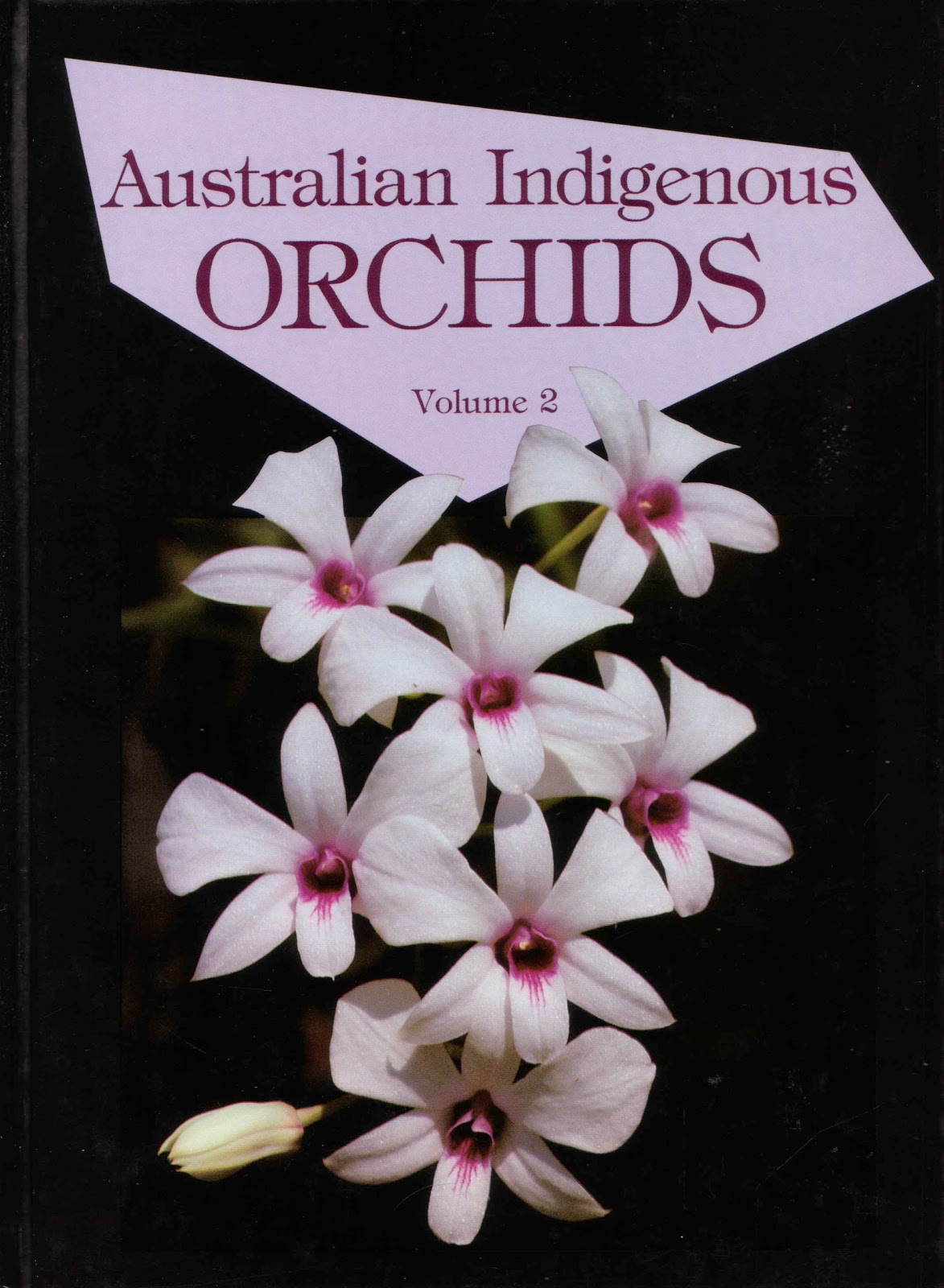 Huc & Gabet: Australian Indigenous Orchids: Volume 2: The Epiphytes ...