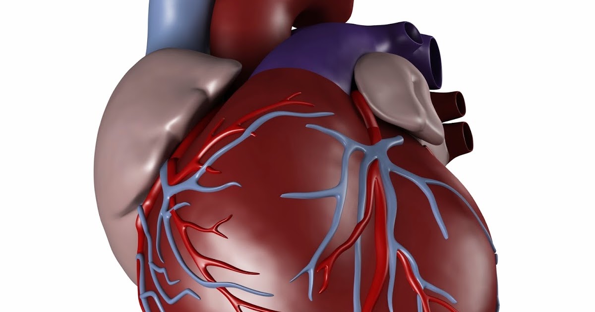 Public Health Tips : 10 Tips for Better Heart