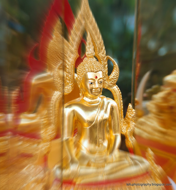 Tofu Photography: Magic Buddha