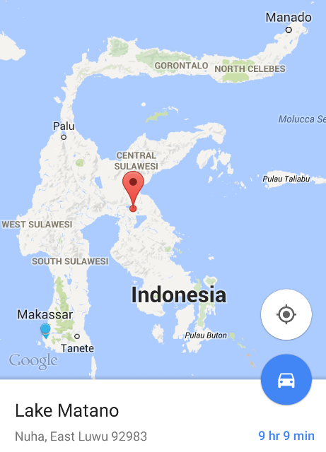 Buttini, A Unique Fish in Sorowako, East Luwu | MiaSastra