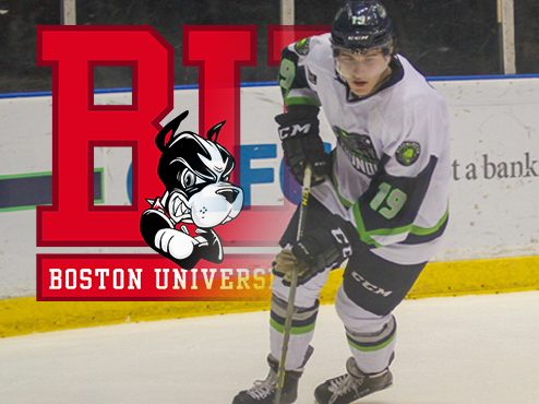 The Terrier Hockey Fan Blog: Winger Patrick Curry joins 2016 recruit class