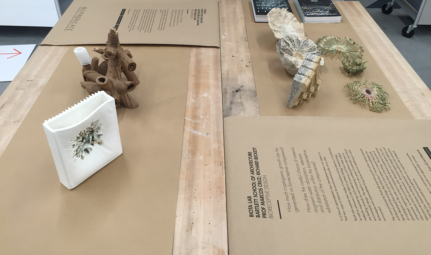 Marcos Cruz Architect