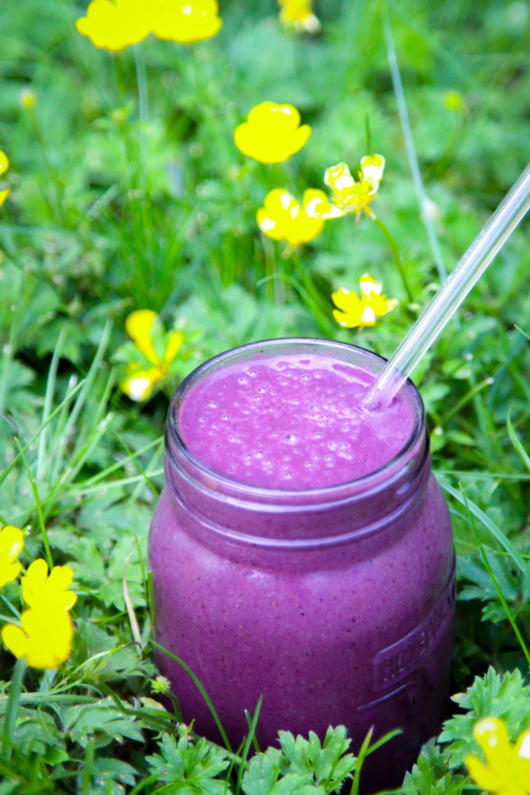 GINGER BERRY PROTEIN SMOOTHIE | This Rawsome Vegan Life | Bloglovin’ GINGER BERRY PROTEIN SMOOTHIE | This Rawsome Vegan Life | Bloglovin’